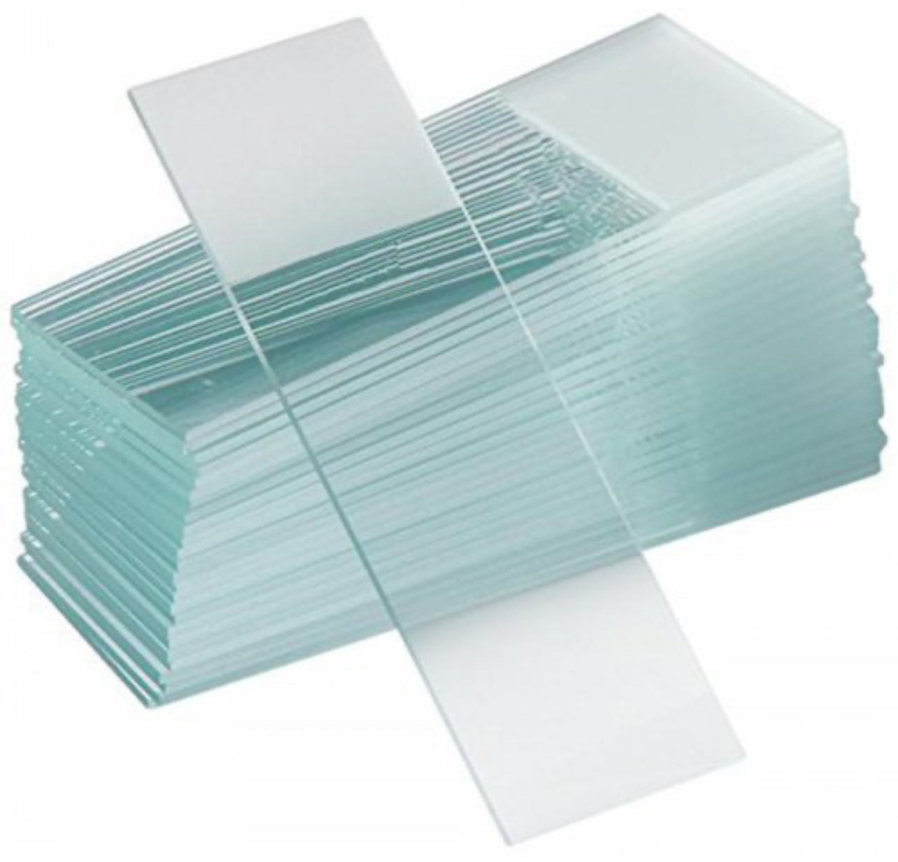 Micro Slides Single Frost Bevelled Clipd – Cristal Group (Pty) Ltd